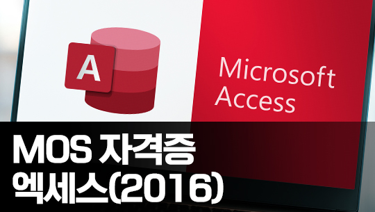 세상의 모든 강의 : '따즈아'